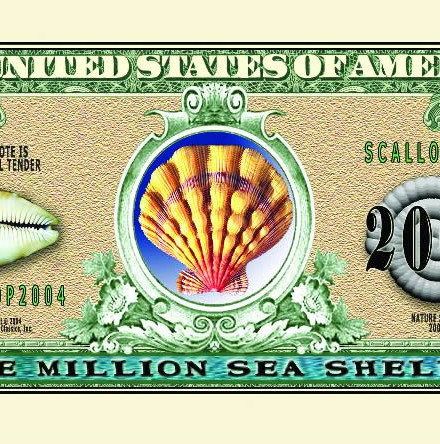 FakeMillion Seashells One Million Dollar Bill - FakeMillion