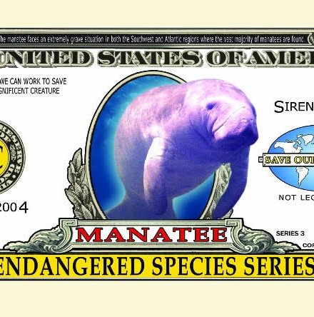 FakeMillion Endangered Manatee One Million Dollar Bill - FakeMillion